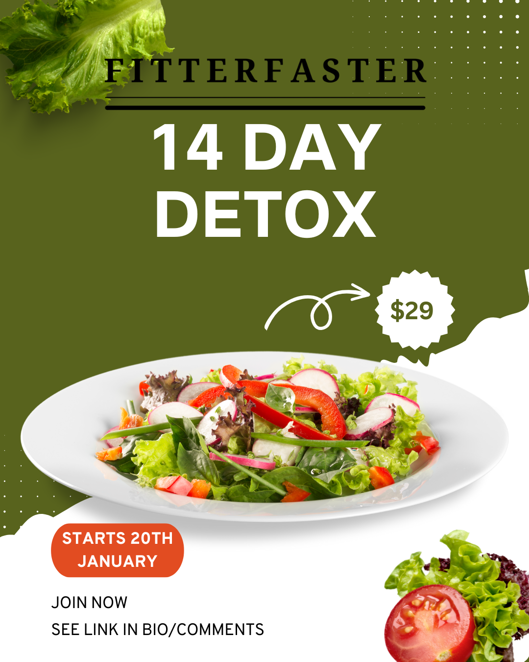 14 Day Detox 20- January - FitterFaster